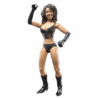 PWTorch.com - COLLECTIBLES COLUMN: Figure Five Tuesday - The Top 5 "What Were They Thinking ...