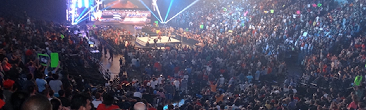 PWTorch.com - TODAY'S LIST: Top 5 Reasons Why WWE Business Is Down