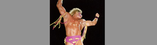 PWTorch.com - SATURDAY'S ASK PWTORCH: Ultimate Warrior vs. Undertaker ...